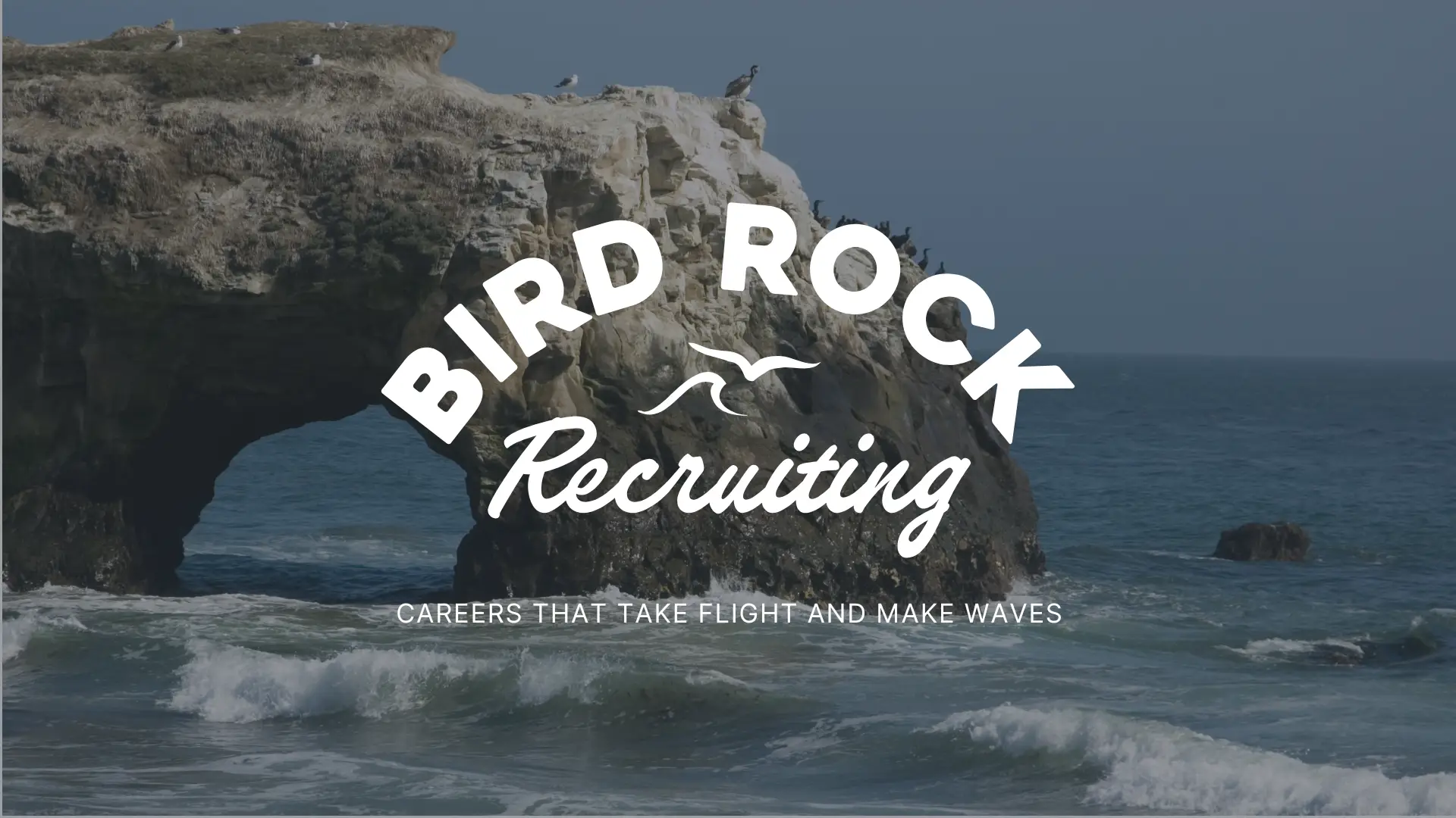 Home - Bird Rock Recruiting